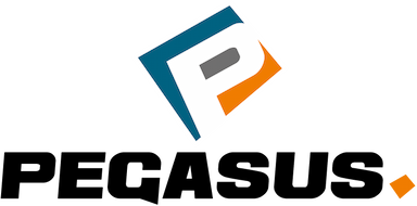 Pegasus